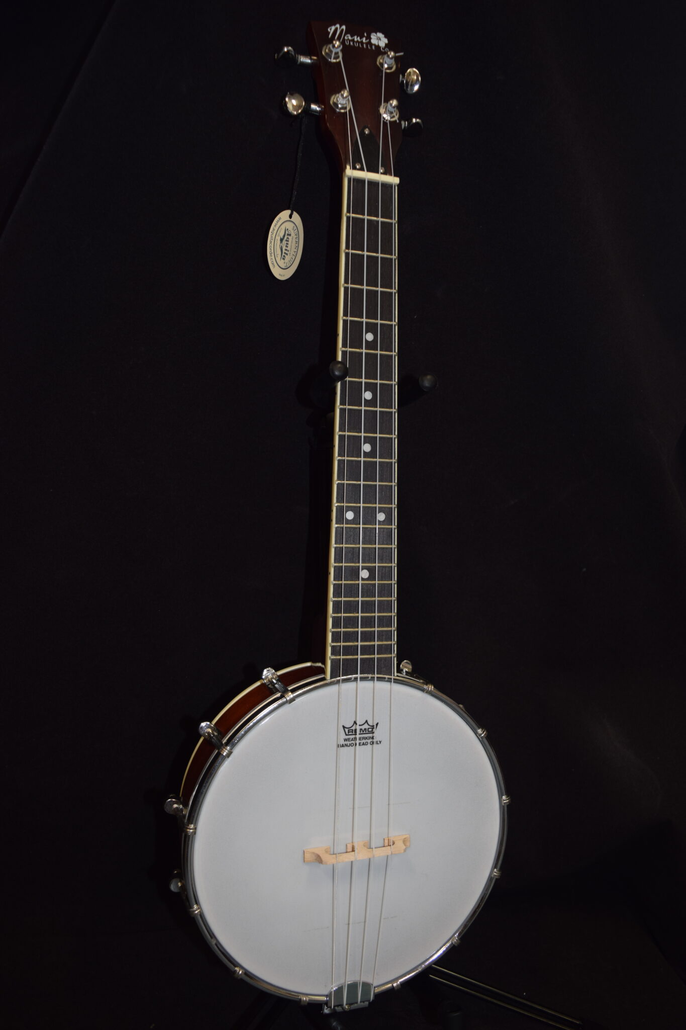 Other Instruments – Mele Ukulele – The Sweet Sound of Aloha